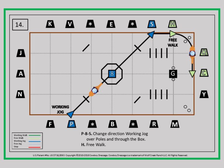 Challenge-Walk-Jog-Test-4 Court