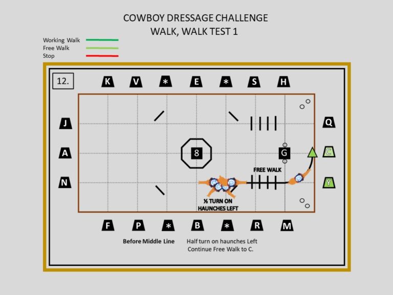Challenge Walk Walk Test 1 Courts